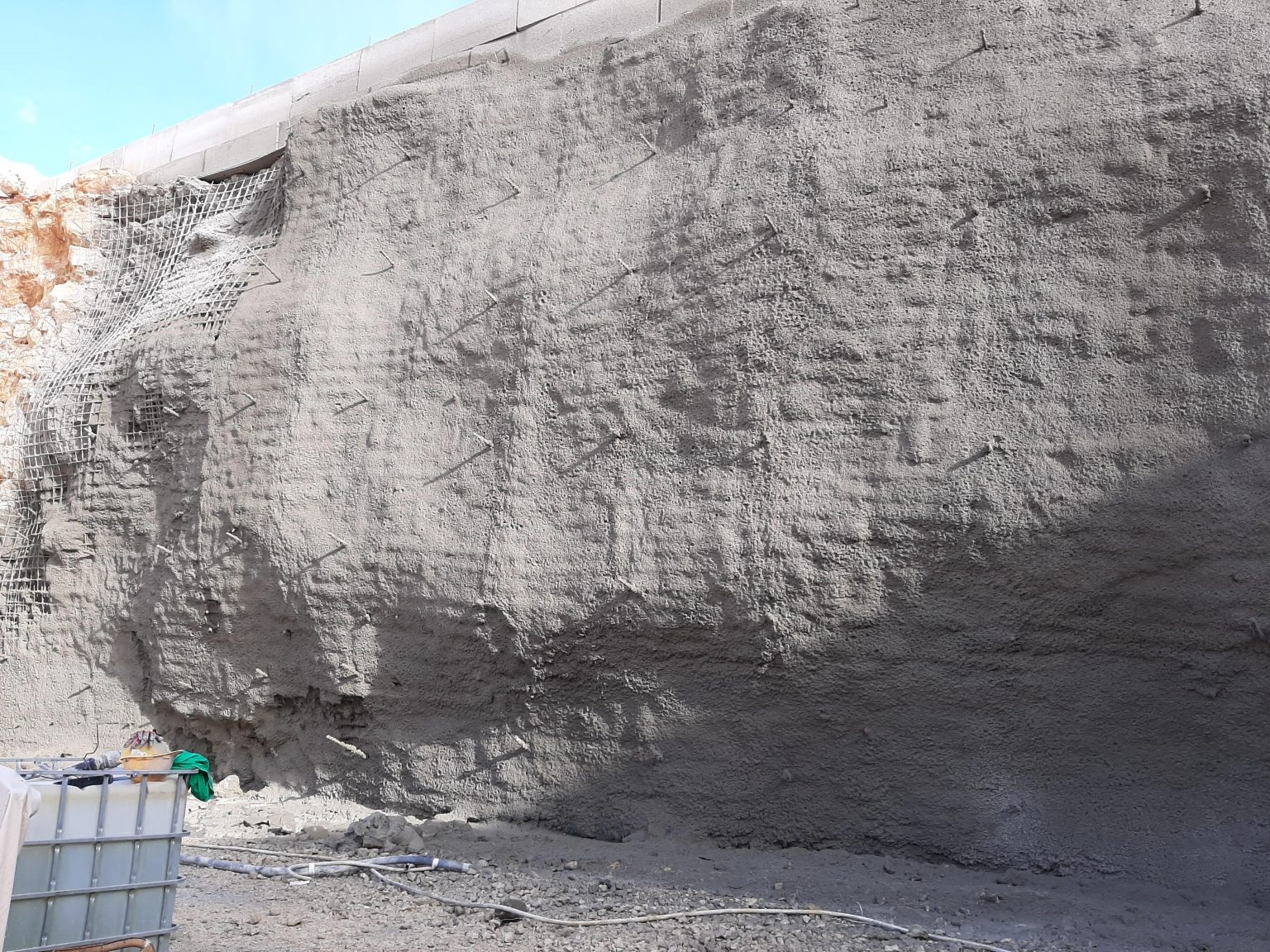 News – The Shoreline